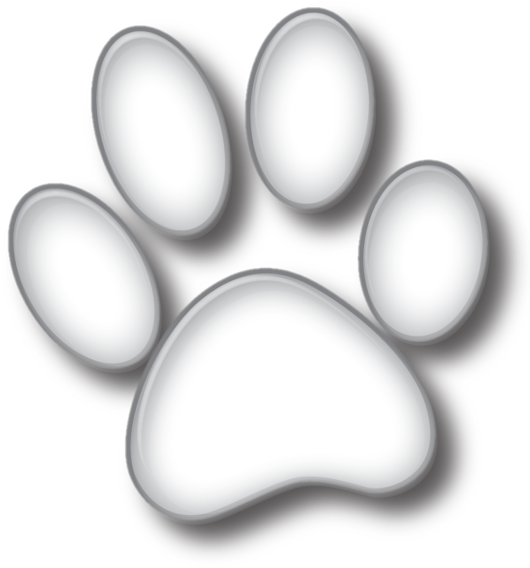 White Dog Paw Png - White Paw Print Png - Free Transparent PNG Download - PNGkey