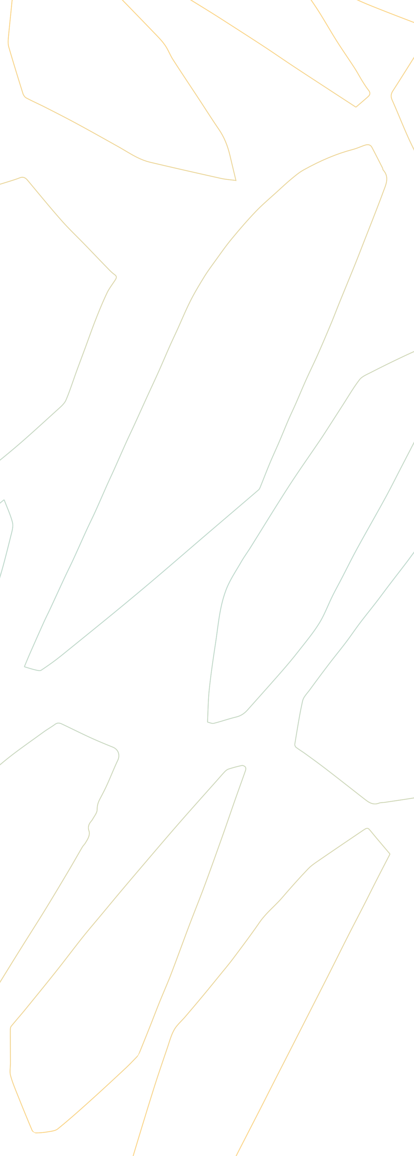 Download Le Guess Who - Line Art PNG Image with No Background - PNGkey.com