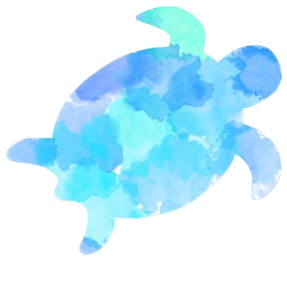 Watercolor Paint Ocean Creative Turtle - Sea Overlays - Free ...