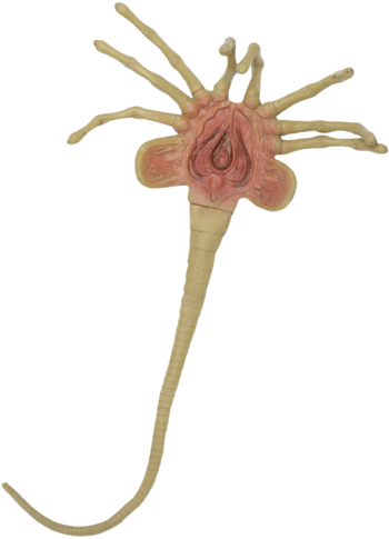 Download Alien Face Hugger Prop - Alien Facehugger PNG Image with No ...