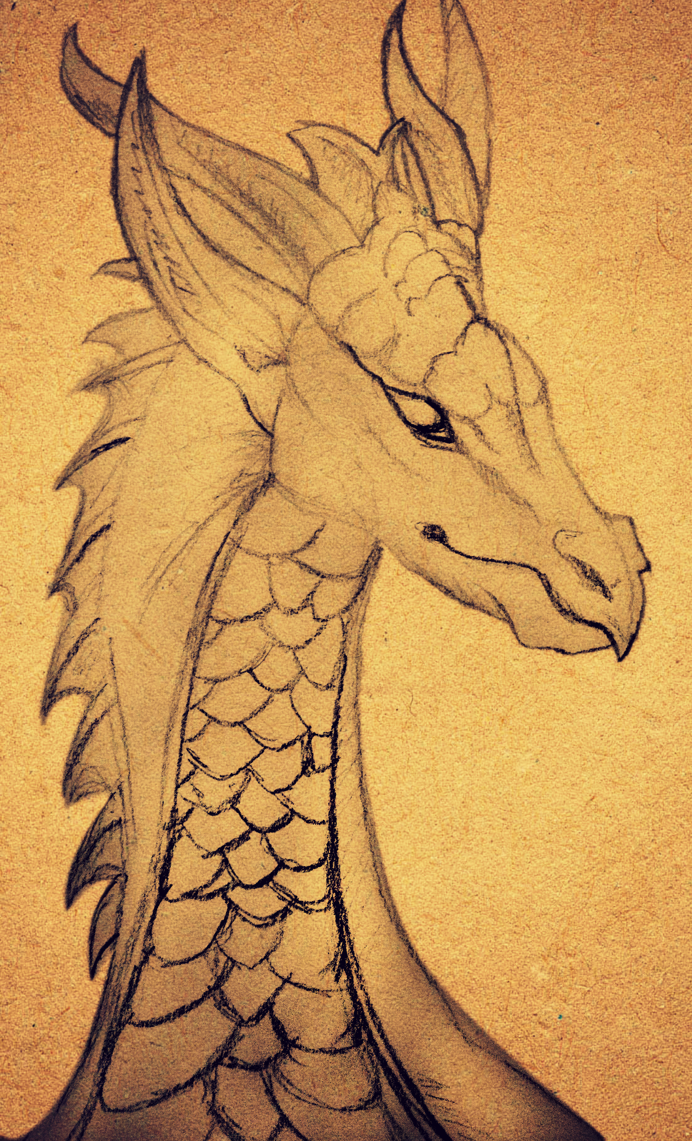 Dragon Skech Illustrations Pinterest Dragons Painting - Drawing - Free ...