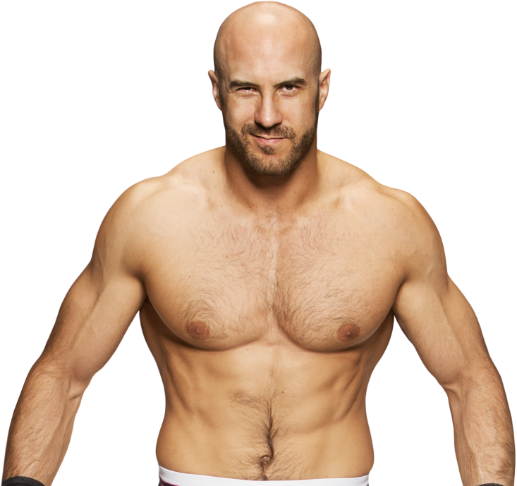 Download Cesaro Png PNG Image with No Background - PNGkey.com