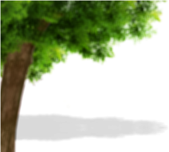 Download Tree-500x300 - Trousers PNG Image with No Background - PNGkey.com