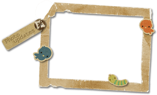 Cute Frame Png More Information - Picture Frame - Free Transparent PNG ...