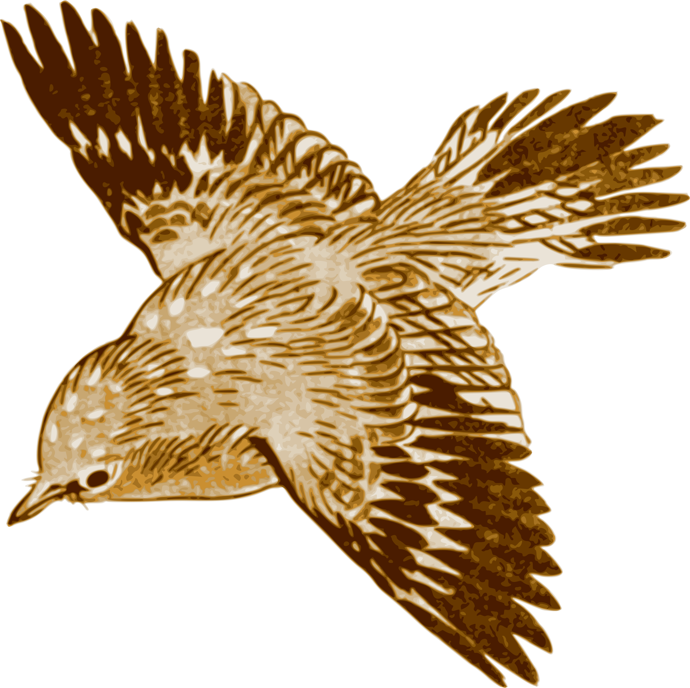 Birds Flying Drawing Colorful