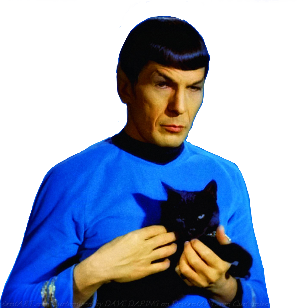 Download Aye Aye Captain PNG Image with No Background - PNGkey.com