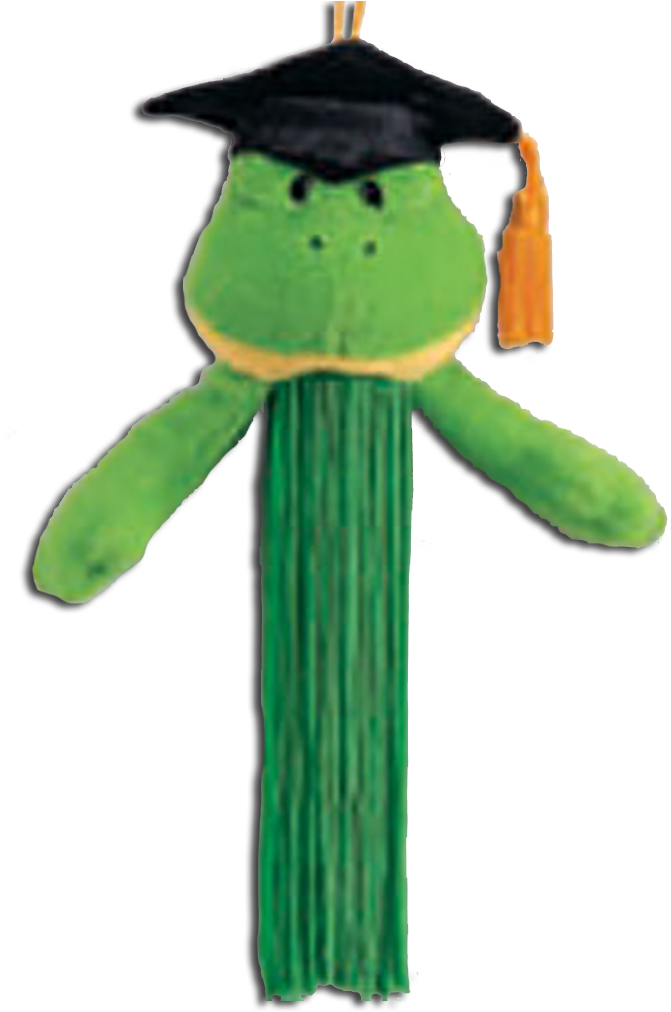 Download Gund Graduation Tassel Green Frog Wearing A Black Cap ...