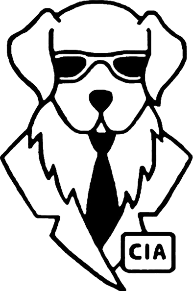 Download Pagelines- Cialogotransparent - Cia Action PNG Image with No ...