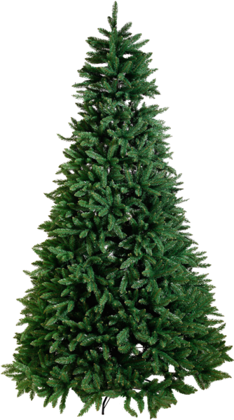 Download Christmas Tree Calgary - Fraser Fir Christmas Tree PNG Image ...