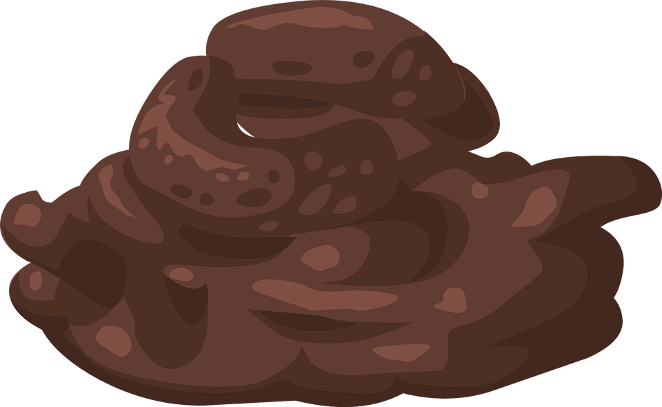 Download Free Vector Graphic - Guano Png PNG Image with No Background ...