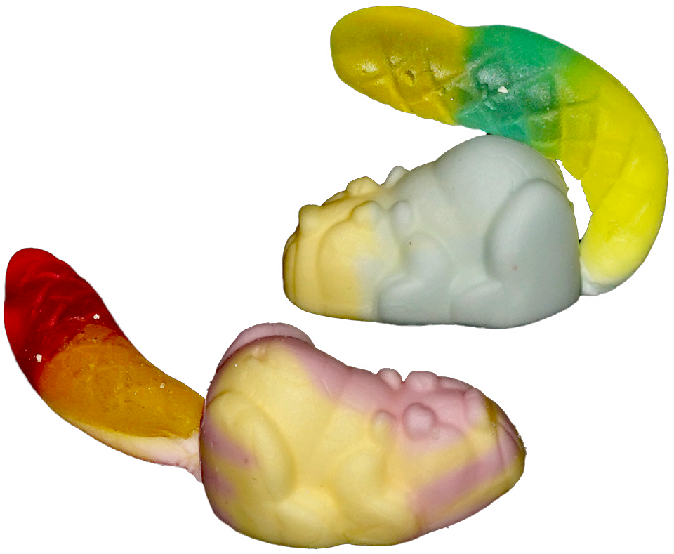 Download Beaver Candy - Wikimedia Commons PNG Image with No Background ...