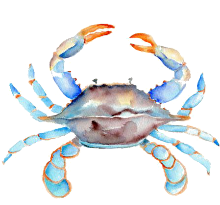 Crabs Drawing Watercolor - Blue Crab Watercolor - Free Transparent PNG ...
