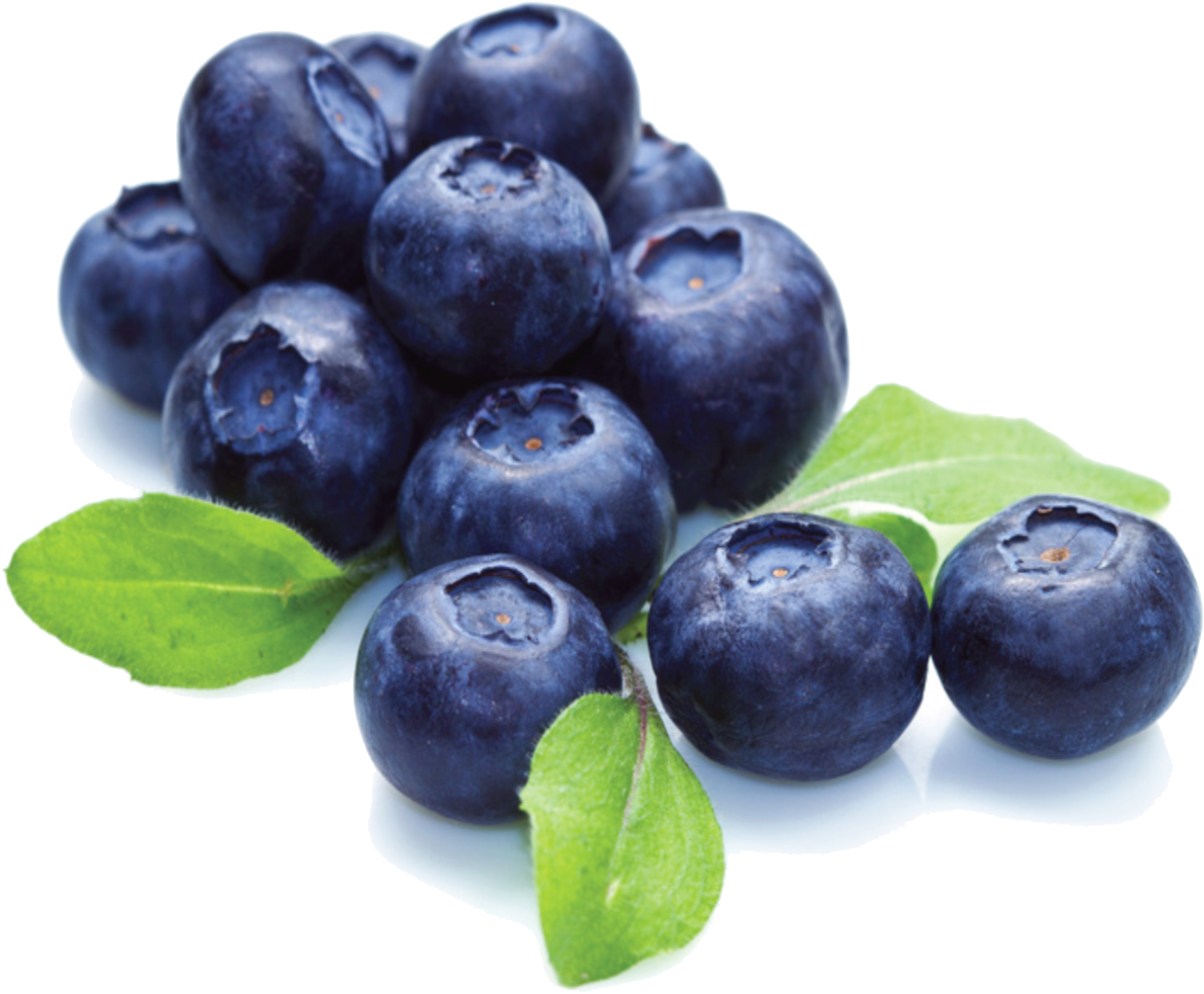 Blueberry Png File - National Blueberry Month - Free Transparent PNG ...