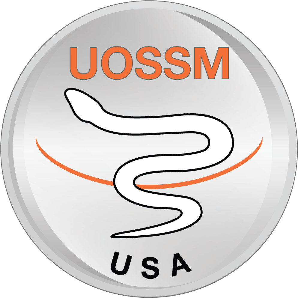 Download Jboss PNG Image with No Background - PNGkey.com