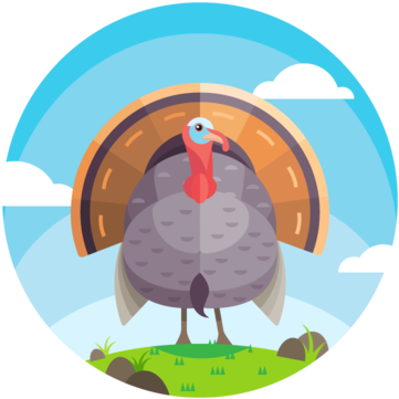 Beautiful Turkey Vector - Domesticated Turkey - Free Transparent PNG ...