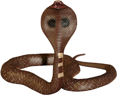 Download 3d Snake 1 4 By Jaldabaoth-d4ogfi2 - 3d Snake PNG Image with ...