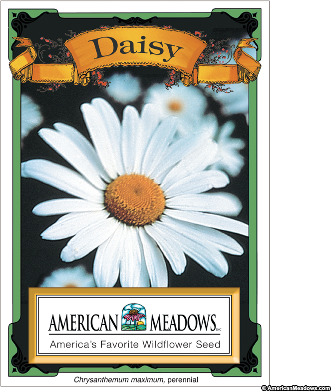 Download Daisy Seed Packet - Flower Seed Packets PNG Image with No ...