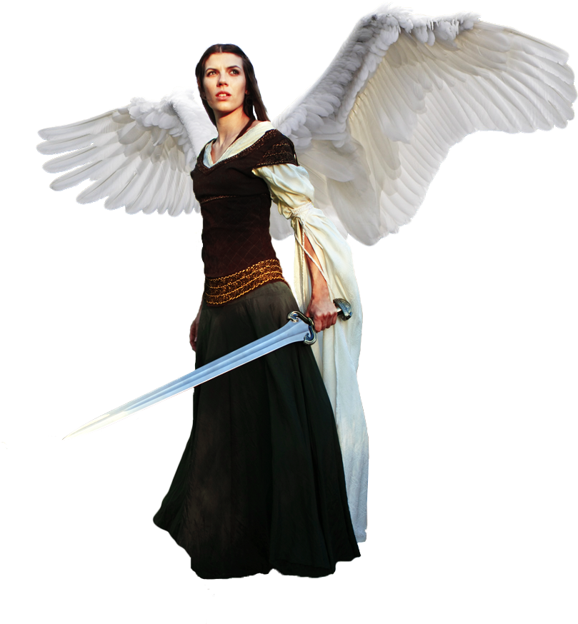 Download Warrior Angel Png Transparent Image - Angel Png Transparent ...