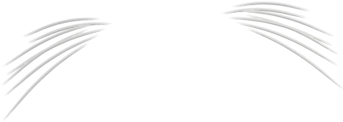 Cats Whiskers Png Svg Royalty Free Stock - White Cat Whiskers Png ...