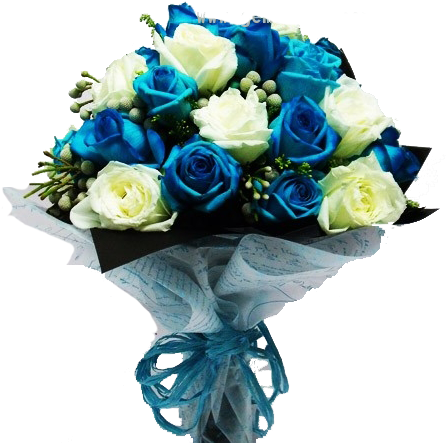 Download Blue Transparent Bouquet - Blue White Roses Png PNG Image with No Background - PNGkey.com