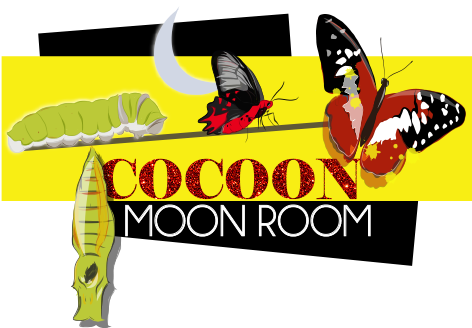 Download The Cocoon Moon Room - Cocoon Moon Room PNG Image with No ...