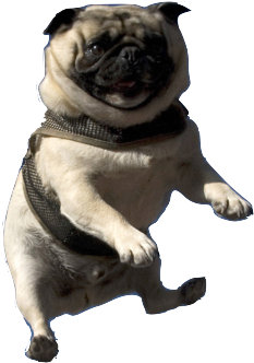 Download #142934295 Added By Froglordy At Minecraft Gone Sexual - Wind ...