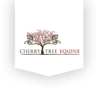 Cheery Tree Equine - Horse - Free Transparent PNG Download - PNGkey