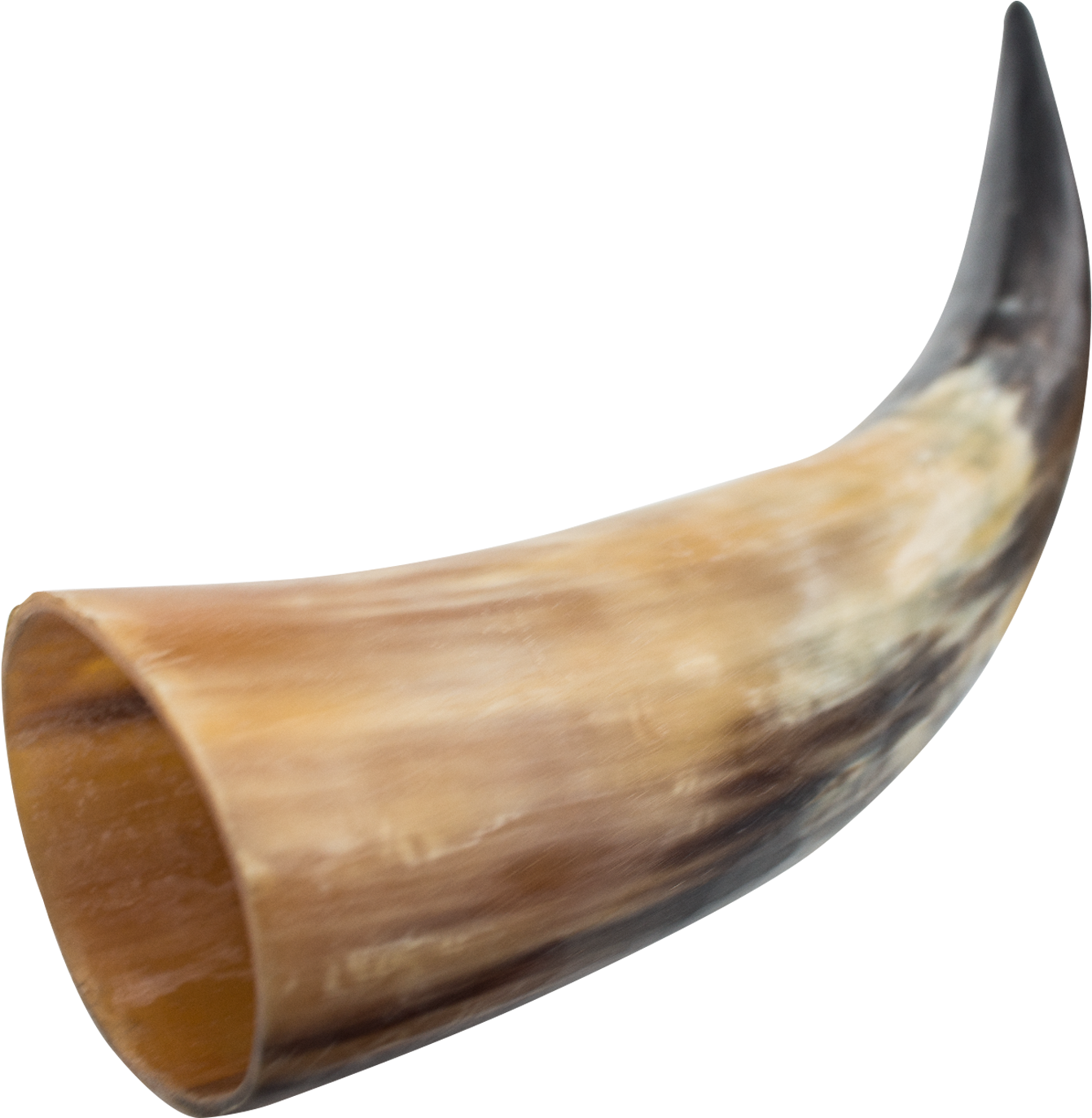 Viking Horn Png - Medieval Horn - Free Transparent PNG Download - PNGkey