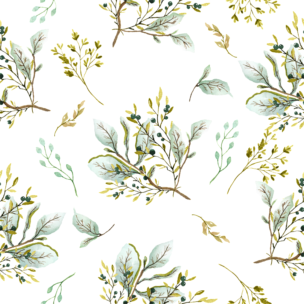 Download Spring Plant Cartoon Transparent - Spring PNG Image with No ...