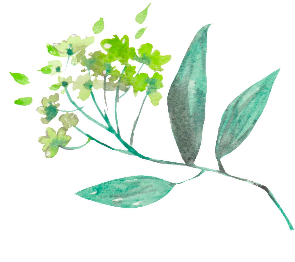 This Backgrounds Is Spring Fresh Plant Transparent - Spring - Free ...