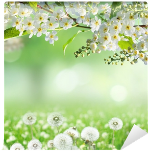 Download Mural - Spring PNG Image with No Background - PNGkey.com