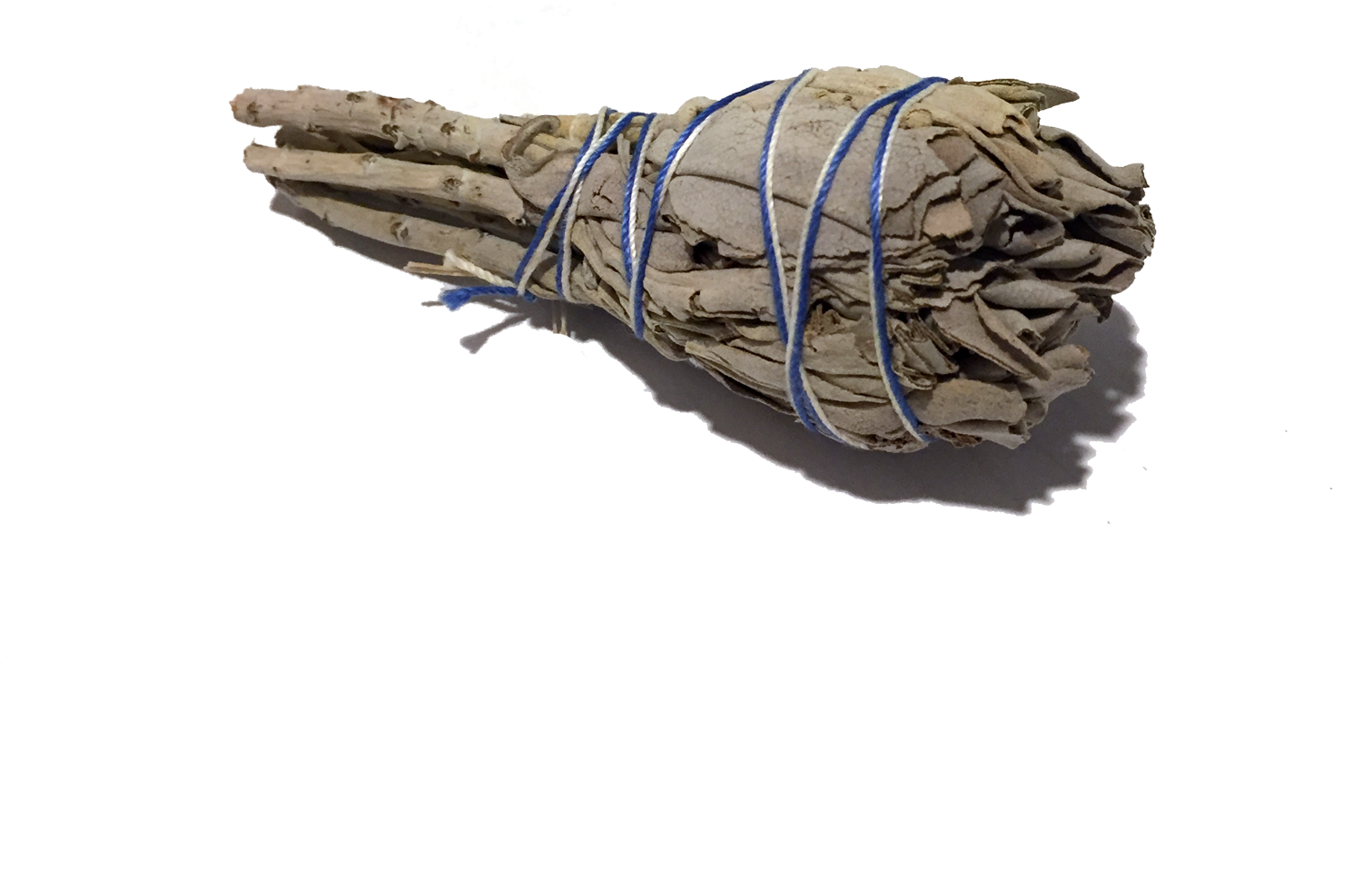 Download Sage Bundle Drawing Transparent PNG Image with No Background - PNGkey.com