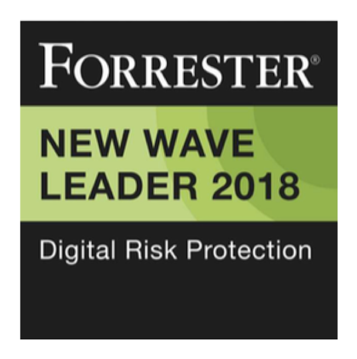 Download Forrester Names Searchlight Leader In Digital Risk - Forrester ...