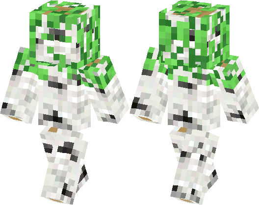 Birch Tree Skin Minecraft - Free Transparent PNG Download - PNGkey
