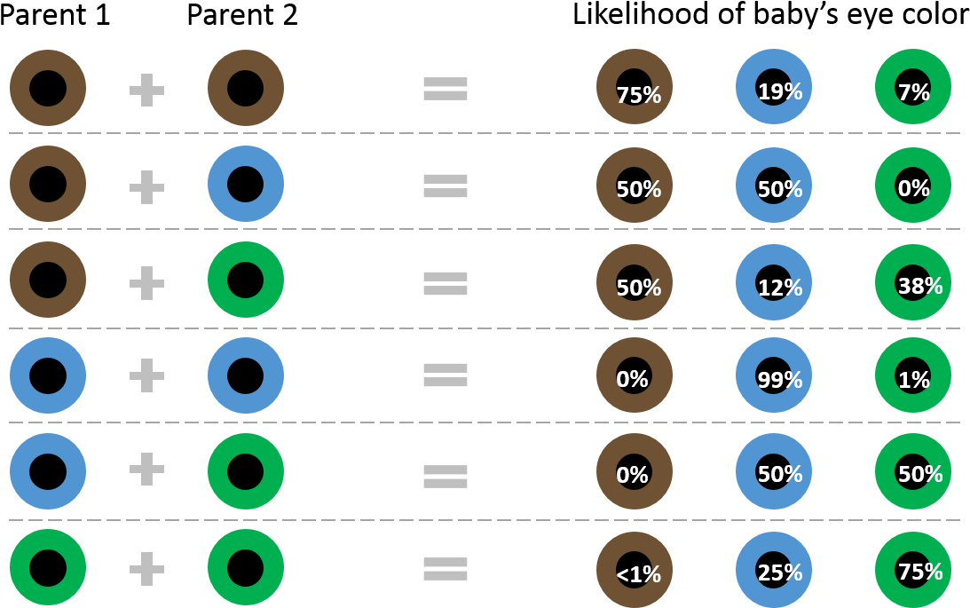 Download How Eye Color Is Inherited - Colored Eyes Chart PNG Image with ...