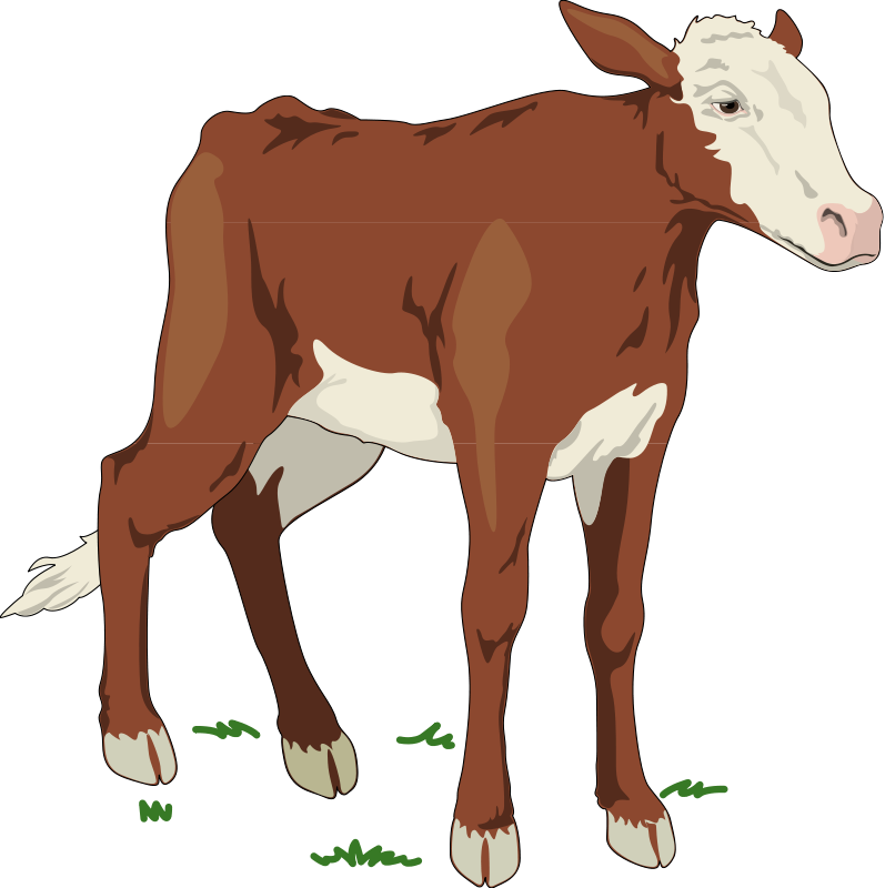 Cow 2 Free Vector - Animal Farm Cow - Free Transparent PNG Download ...