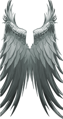 Download Silver Icarus Wings - Icarus Wings Transparent PNG Image with ...