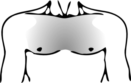 Most Common Chest Hair Pattern - Human Chest Png - Free Transparent PNG ...