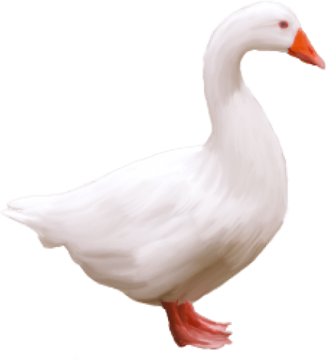 Free Png Goose Png Images Transparent - Goose Png - Free Transparent ...