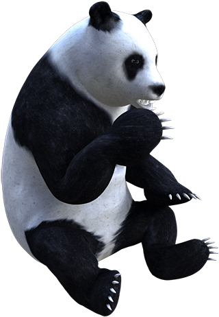Download Panda Vr PNG Image with No Background - PNGkey.com