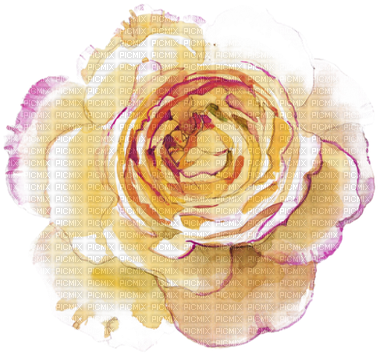 Download Rose Pêche - Etérea Dekokissen Kissenhülle Fresko Blume 40x40 ...
