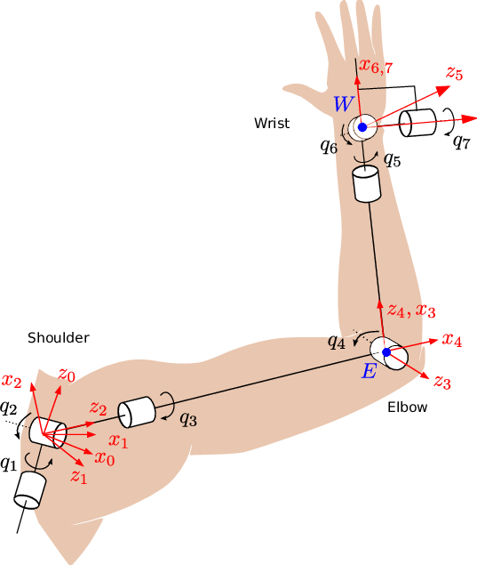 Download Kinematic Model Of The Human Arm - Kinematics PNG Image with ...