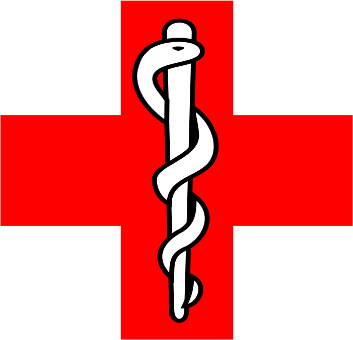 Download Rod Of Asclepius File - Asclepius Staff Medical Symbol PNG ...