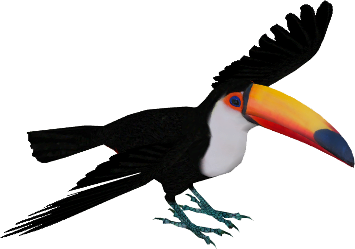 Toco Toucan - Toco Toucan Transparent - Free Transparent PNG Download ...