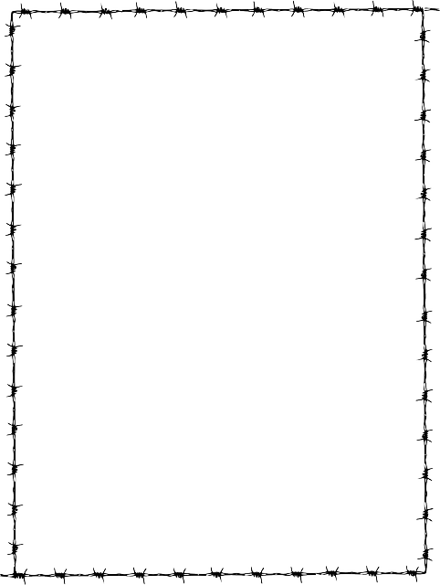 Download Barbed Wire, Wire, Frame, Page, Border, Certificate - Border ...