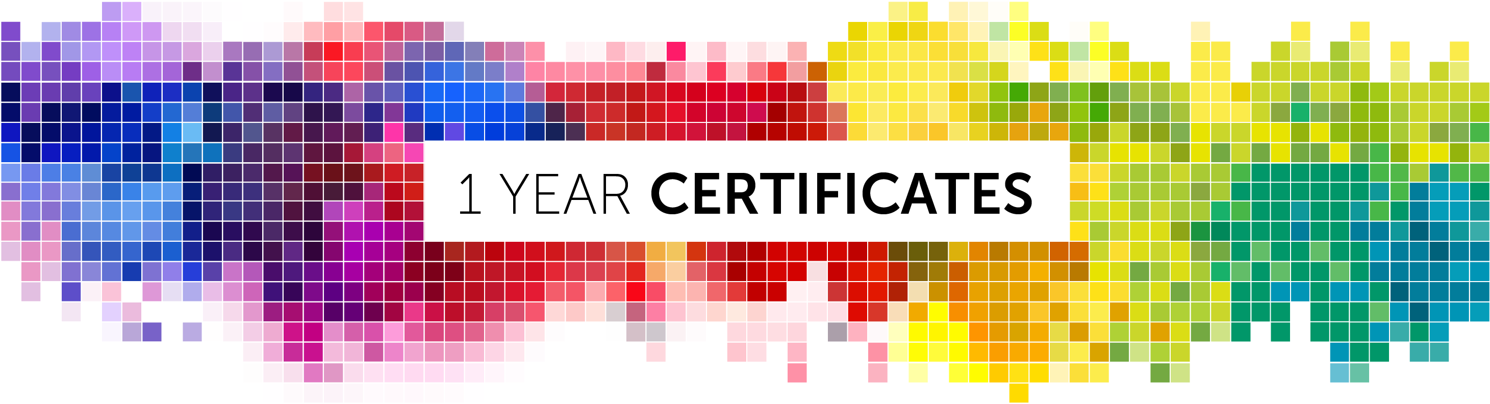 Download 1-year Certificates At Red & Yellow - Yellow PNG Image with No ...
