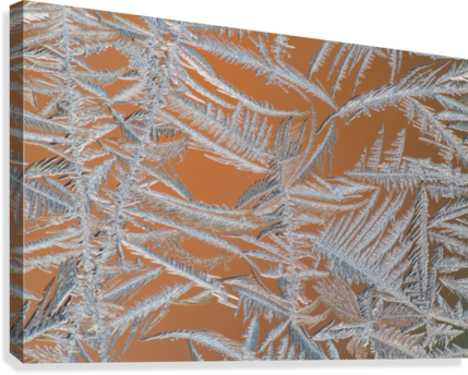 Download Ice Crystals On A Window - Posterazzi Ice Crystals On A Window ...