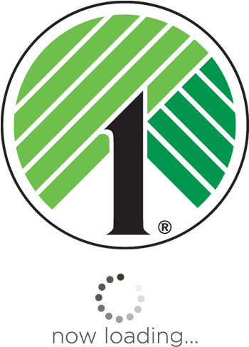 Dollar Tree Png - Dollar Tree Logo - Free Transparent PNG Download - PNGkey