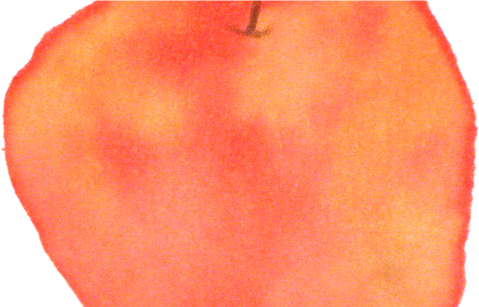 Download Apple Square Sticker 3" X 3" PNG Image with No Background - PNGkey.com