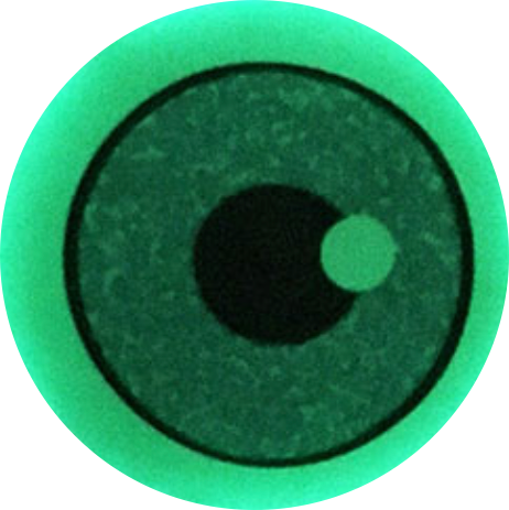 Download Eye Bloodshot Glow Glowing Greeneyes Glowingeyes Neon - Eye ...